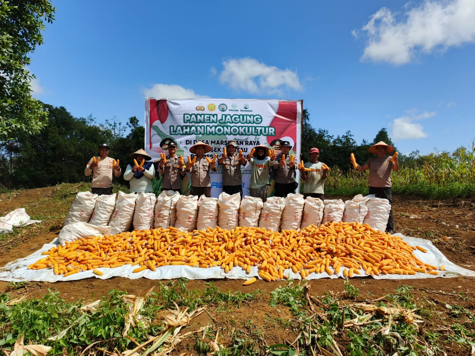 Panen Jagung di Semitau Wujud Dukung Program Swasembada Pangan 2025 - TB NEWS POLRES KUBU RAYA